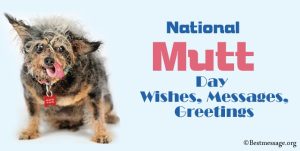 Happy National Mutt Day Wishes, Messages, Greetings