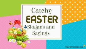 Best Holi Slogans: 15 Great Holi Quotes and Slogans