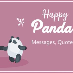 International Red Panda Day Messages, Slogans and Quotes