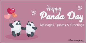 Best Panda Day Messages, Panda Quotes & Greetings – March 16