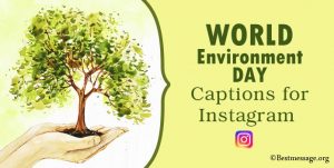20 World Environment Day Captions for Instagram