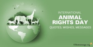 Happy Human Rights Day Messages, Quotes and Slogans