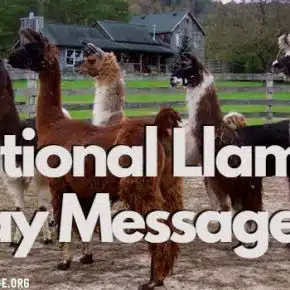 National Life Insurance Day Messages, Quotes and Sayings
