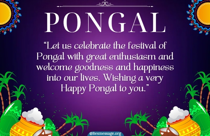 Happy Pongal Wishes 2025: Pongal Messages, Quotes Status