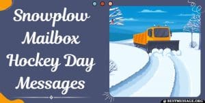 Snowplow Mailbox Hockey Day Messages, Quotes- January 23