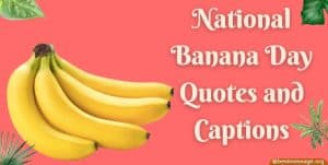 National Banana Day Messages, Quotes and Instagram Captions