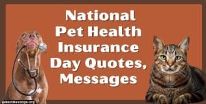 National Pet Health Insurance Day Quotes, Messages & Sayings