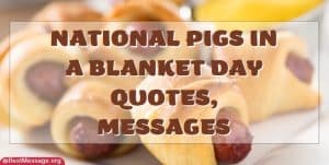 National Pigs in a Blanket Day Quotes, Messages