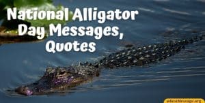National Alligator Day Messages, Alligator Slogans & Quotes