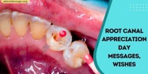 Root Canal Appreciation Day Messages, Wishes, Quotes