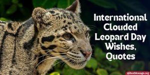International Clouded Leopard Day Wishes, Quotes, Messages