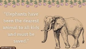 World Elephant Day Messages, Quotes, Elephant Slogans