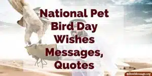 National-Pet-Bird-Day-Wishes-Messages-Quotes | Best Message