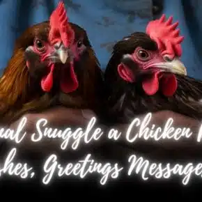 National Fried Chicken Sandwich Day Greetings, Messages, Quotes